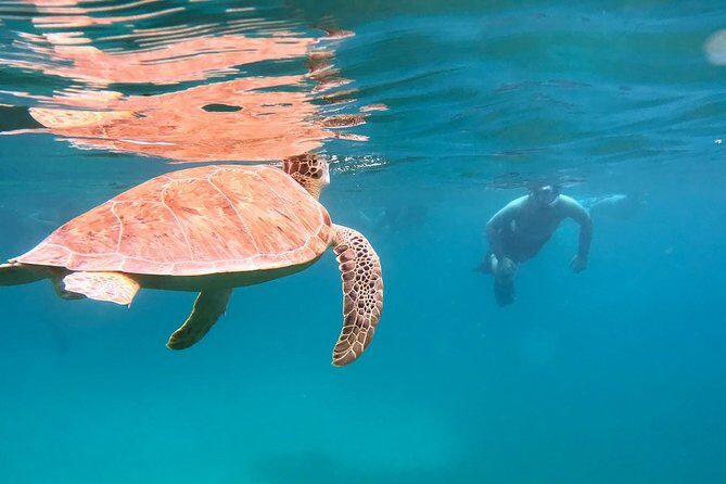 Culebra Snorkel and Turtle Adventure with Transport - In-Depth Look at the Itinerary and Highlights