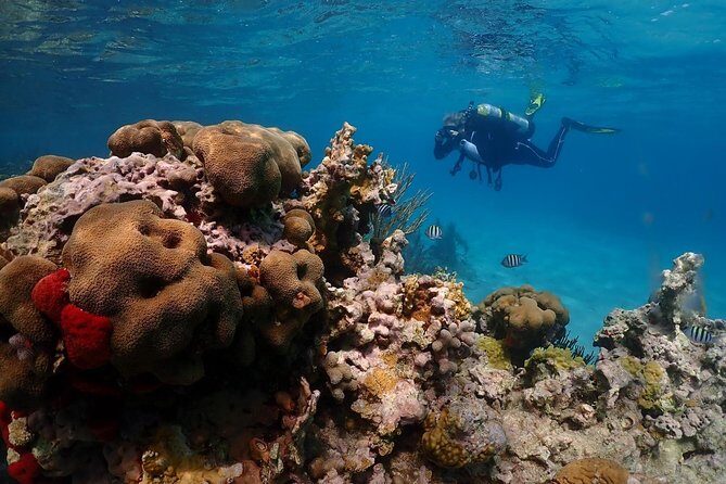 Culebra Snorkeling and beach Day Experience by boat - What Makes This Tour Stand Out