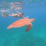 Culebra Swim with Turtles Adventure and Flamenco Beach by Ferry - What the Tour Includes and What to Consider