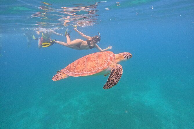 Culebra Swim with Turtles Adventure and Flamenco Beach by Ferry - What the Tour Includes and What to Consider