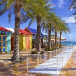 Culinary Culture Delight Top Seller - Key Points