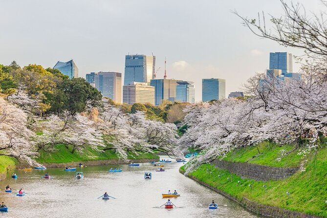Cultural Day Trip Experience in Tokyo - Who Will Love This Tour?