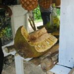 Cultural Food Tour & Seven Mile Beach At Negrils Margaritaville - What Travelers Are Saying