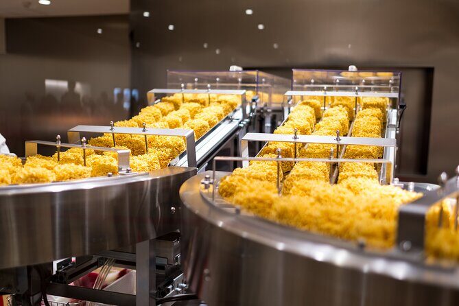 Cup Noodles Museum Guided Tour in Osaka - Who Should Consider This Tour?