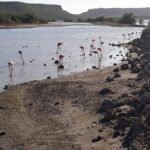 Curacao Beach and Hato Caves Tour - Who Will Love This Tour?