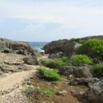 Curacao Complete Island Tour - Why Travelers Love (and Sometimes Criticize) This Tour