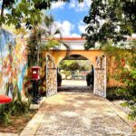 Curaçao Contemporary Art Tour - The Experience and Practical Details