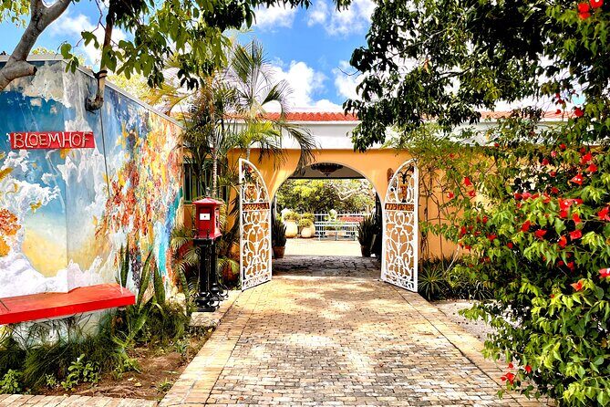 Curaçao Contemporary Art Tour - The Experience and Practical Details