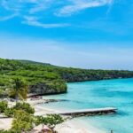 Curacao Flamingos Clear Boat Ride and Porto Marie Beach tour - Underwater Views on the Glass-Bottom Boat Ride