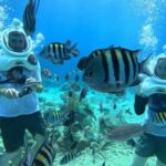 Curacao Helmet Diving-Walk the Ocean Floor, No Swimming Required - What Sets This Tour Apart
