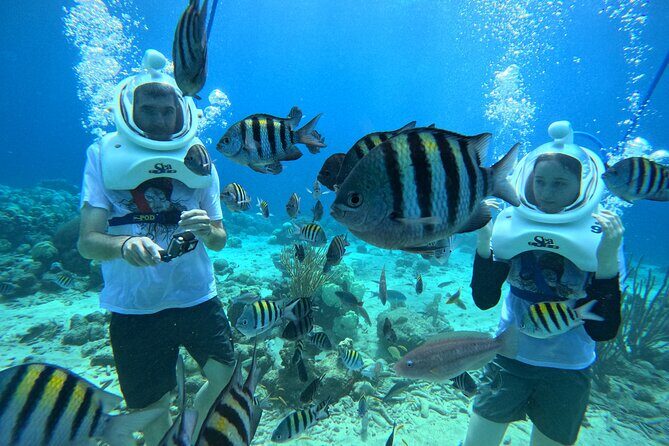 Curacao Helmet Diving-Walk the Ocean Floor, No Swimming Required - What Sets This Tour Apart