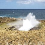 Curacao Private Tour and Activity Experience (4 up to 13 people) - Final Thoughts