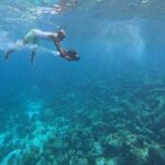 Curacao Reef Sublue Scooters Experience - What Makes This Tour Stand Out?