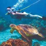 Curacao Sea Trek Snuba Combo Walk Tour and Dive the Ocean - The Small Group and Convenience