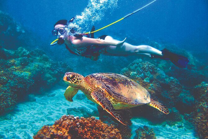 Curacao Sea Trek Snuba Combo Walk Tour and Dive the Ocean - The Small Group and Convenience