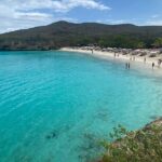 Curacao Sea Turtle Swim and West Side Natural Highlights - A Closer Look at the Itinerary