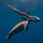 Curaçao Seabob in Playa Piskado Adventure with Sea Turtles - The Highlights: Marine Life and Underwater Features