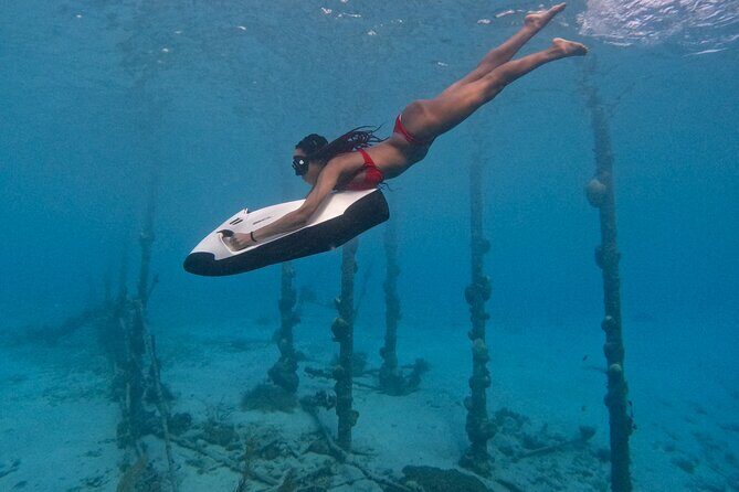 Curaçao Seabob Tugboat Adventure (Andymaxadventures Curaçao) - An In-Depth Look at Curaçao Seabob Tugboat Adventure