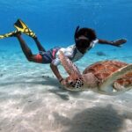 Curacao: Swimming with Sea Turtles meets Sea turtle beach - The Detailed Itinerary Breakdown