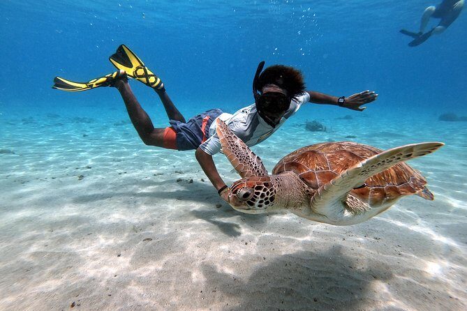 Curacao: Swimming with Sea Turtles meets Sea turtle beach - The Detailed Itinerary Breakdown