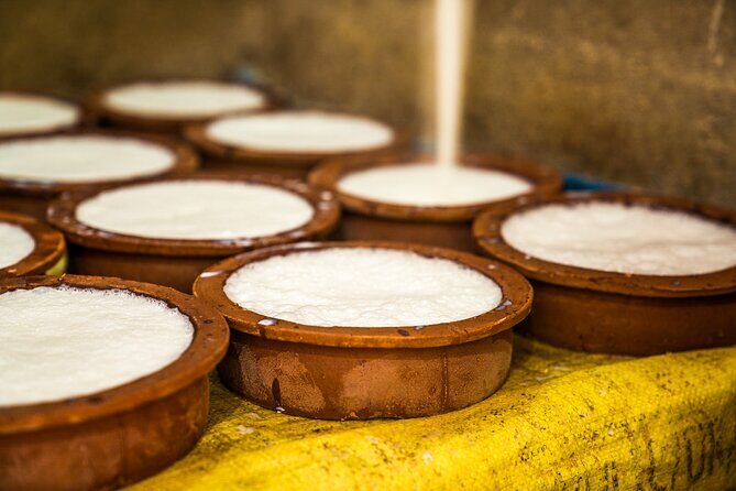 Curd Processing Experience from Tissamaharama - The Sum Up