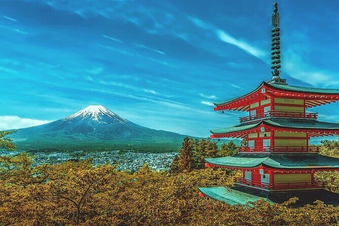 Custom Guided Day Tour to Mt. Fuji with English-Speaking Driver - Who Is This Tour Best For?