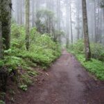 Custom Hiking in the Lions Desert - Why This Tour Could Be Perfect for You