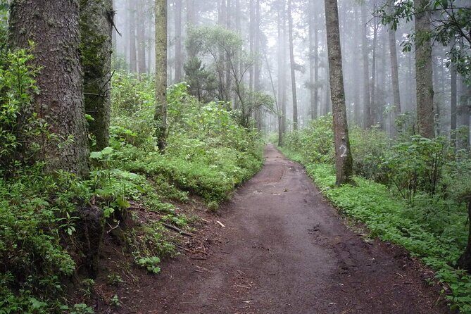 Custom Hiking in the Lions Desert - Why This Tour Could Be Perfect for You