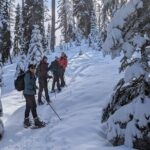 Custom Winter Hiking Trip Planning and Rental Equipment - An In-Depth Look at the Experience