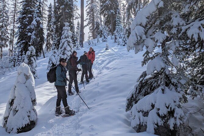 Custom Winter Hiking Trip Planning and Rental Equipment - An In-Depth Look at the Experience
