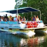 Customizable Combo package to Black River Safari and YS Falls - Wrap-up: Who Will Love This Tour?