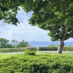 Customizable Okinawa Beach Nature and History Trail Tour - What Travelers Can Expect in Terms of Value