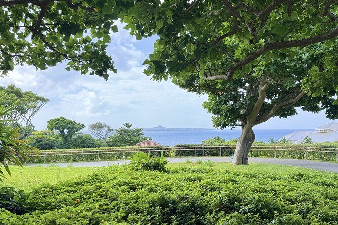 Customizable Okinawa Beach Nature and History Trail Tour - What Travelers Can Expect in Terms of Value