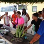 Customized Aruba Island Private Tour for All Ages - The Sum Up