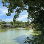 Customized Osaka Private Tour with Local Guide - Who Is This Tour Best For?