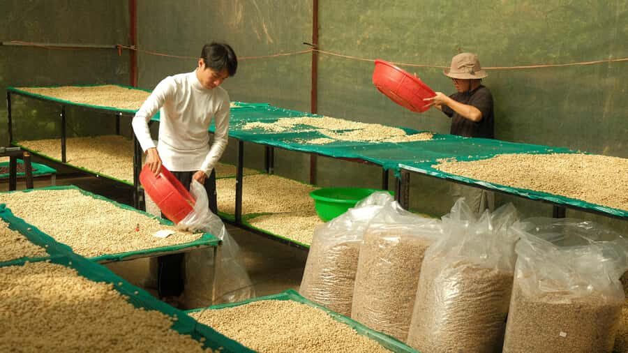 Da Lat: Coffee Roasting Workshop - Roast & Brew Your Own - Who Will Love This?
