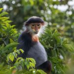 DA NANG: Marble Mountain & Monkey Mountain, Am Phu Cave - Exploring Da Nang’s Top Mountain Attractions: A Detailed Breakdown