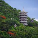 Da Nang: Marble Mountains, Coconut Forest & Hoi An A Tour - Practical Tips for the Tour