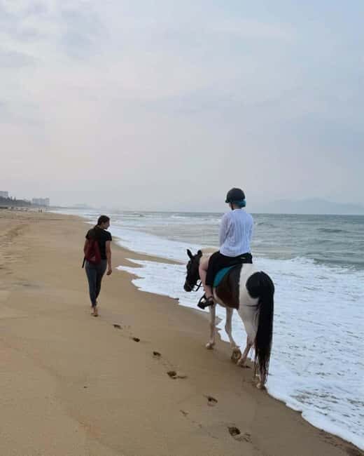 Da Nang: Nature & Horse-Riding Experience - Practical Tips for Travelers