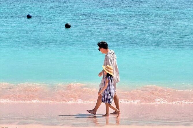 Daily Open Trip Komodo by Speedboat - Final Thoughts: Is This Tour Right for You?