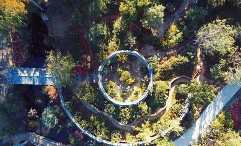 Dali: Cangshan Botanical Garden Ticket (Adult) - Who Should Consider This Experience?