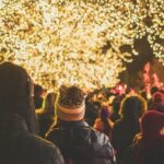 Dallas Christmas Lights Tour - Who Should Consider This Tour?