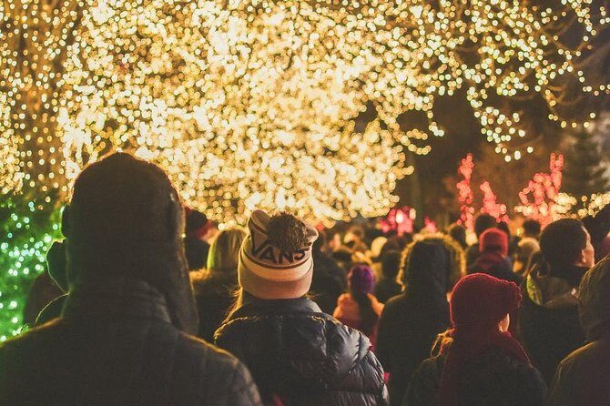 Dallas Christmas Lights Tour - Who Should Consider This Tour?