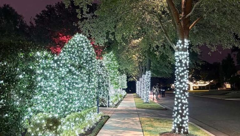 Dallas: Holiday Lights Tour Highland Park - What the Tour Covers and the Highlights
