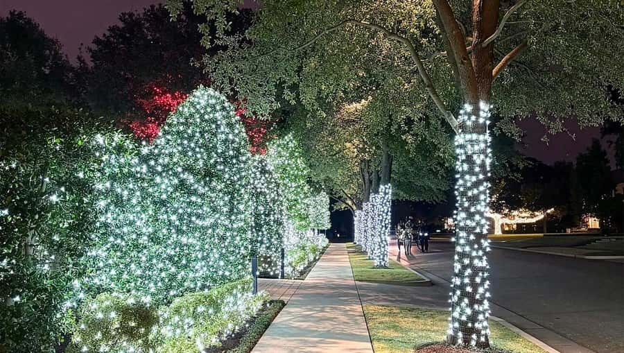Dallas: Holiday Lights Tour Highland Park - What the Tour Covers and the Highlights