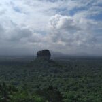 Dambulla, Sigiriya and National Park Safari Tour from Kandy - Authenticity and Traveler Feedback