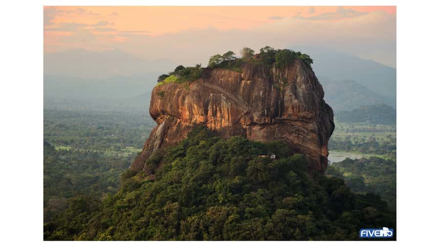 Dambulla: Sigiriya, Cave temple, Safari & Lunch Private Tour - An In-Depth Look at the Tour Experience