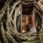 Damnoen Saduak Floating Market & Nakhon Pathom with Driver - Final Thoughts: Who Will Love This Tour?