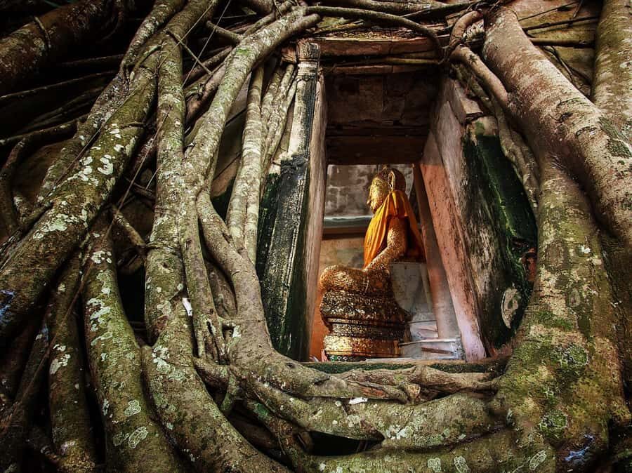 Damnoen Saduak Floating Market & Nakhon Pathom with Driver - Final Thoughts: Who Will Love This Tour?