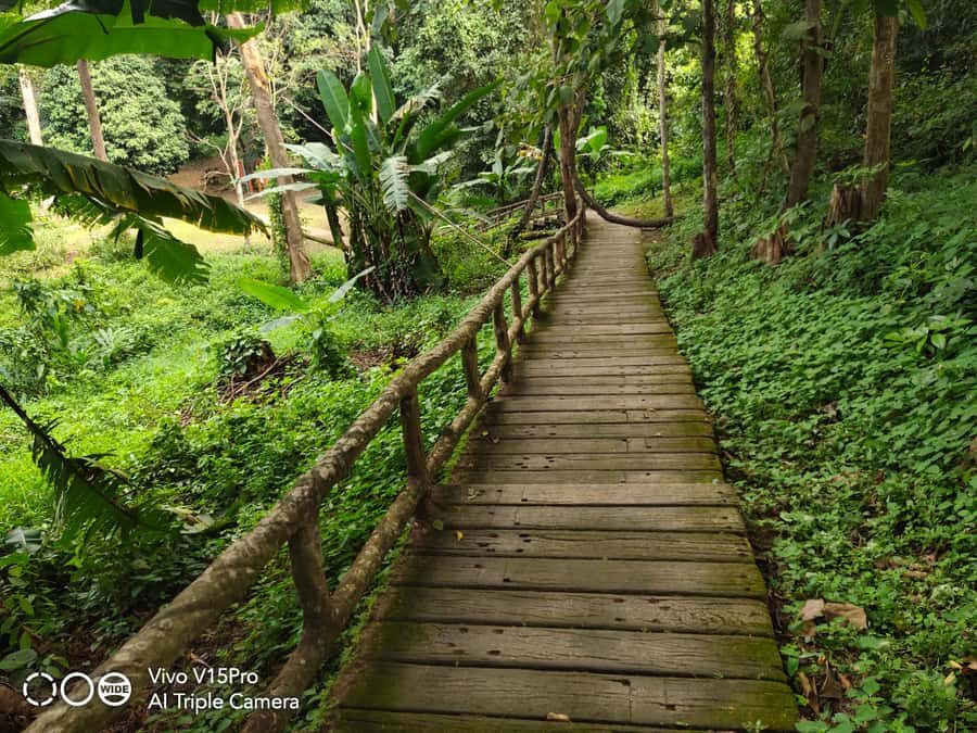 Dantewada, Sticky waterfalls, Wat banden, Paddy rice-field. - Practical Details to Know